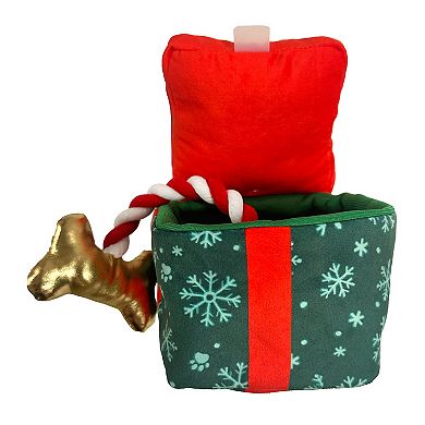 Hallmark Pets Present Rope Bone Dog Toy