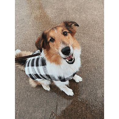 Peanuts Reversible Snoopy Pet Jacket