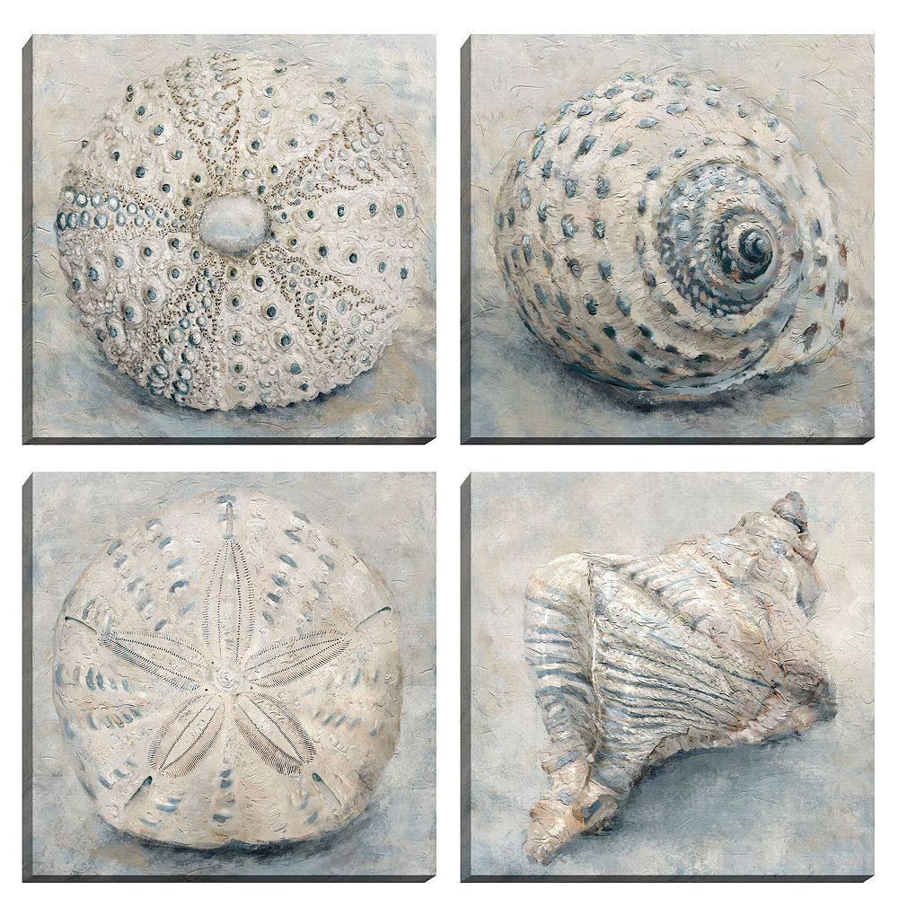 Masterpiece Artisan Shell I - IV by Studio Arts Canvas Wall Art
