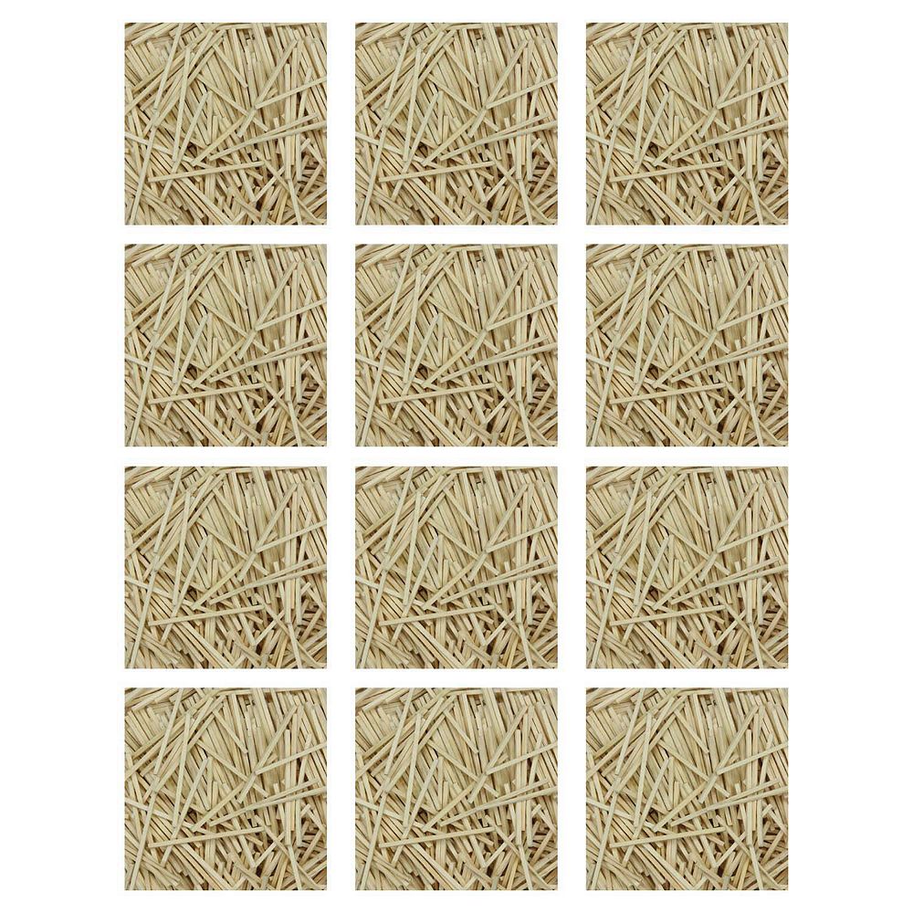 Dixon 12-Pack Creativity Street Mini Craft Sticks Set