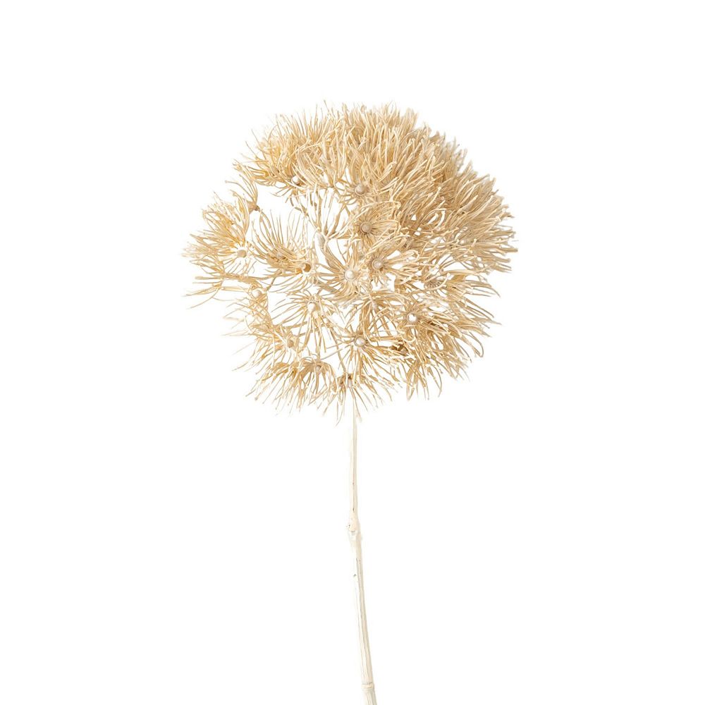 Sullivan's Artificial Dried Natural Cream Allium