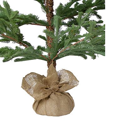 Northlight Ponderosa Pine 5.25' Unlit Artificial Christmas Tree with ...