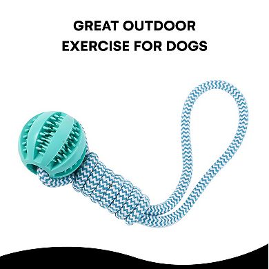 Tetherball For Dogs, Heavy Duty Outdoor Dog Toy