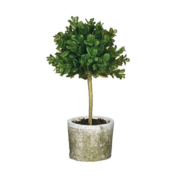 Sullivan's Mini Artificial Boxwood Topiary Table Decor