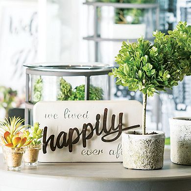 Sullivan's Mini Artificial Boxwood Topiary Table Decor