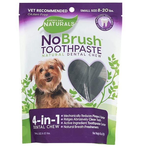 Every Day Naturals No Brush Toothpaste