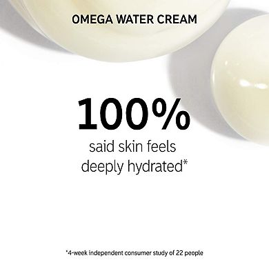 The INKEY List Moisture Boost Skincare Duo