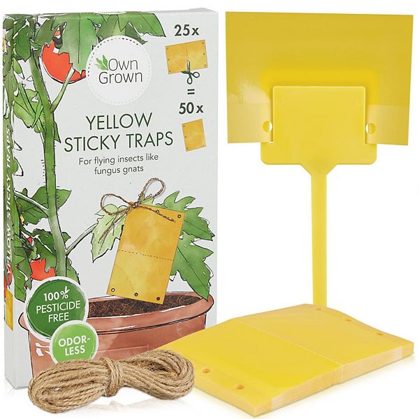 50x Insecticide-free Adhesive Trap For Pest Control With Cord