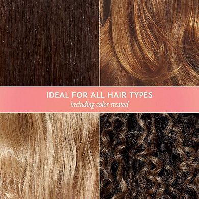 dae Mini Wanderlust Signaure Shampoo & Conditioner Value Set