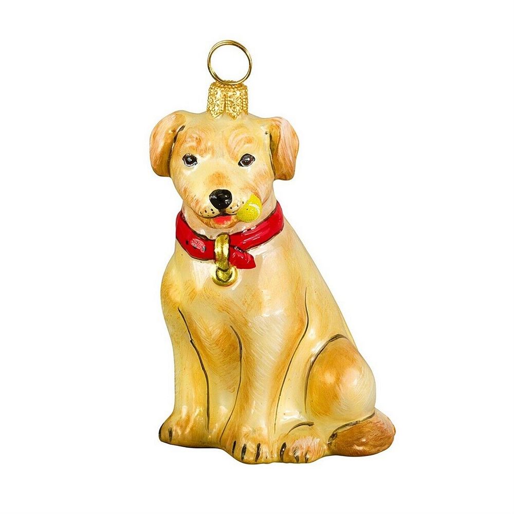 Joy To The World Yellow Labrador Retriever With Tennis Ball Polish ...