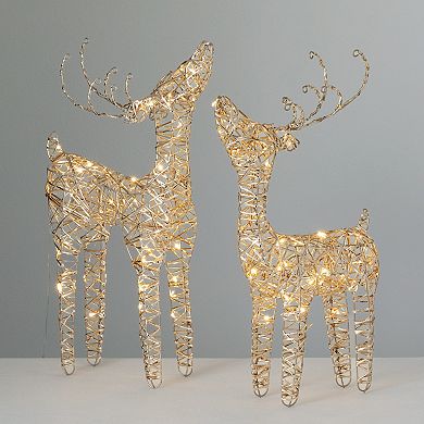 Haven Living 2-Piece Outdoor Lighted Reindeer Set