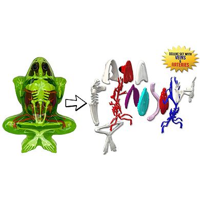 Top Secret Toys Dissect-It: Deluxe Super Frog Lab - Synthetic ...