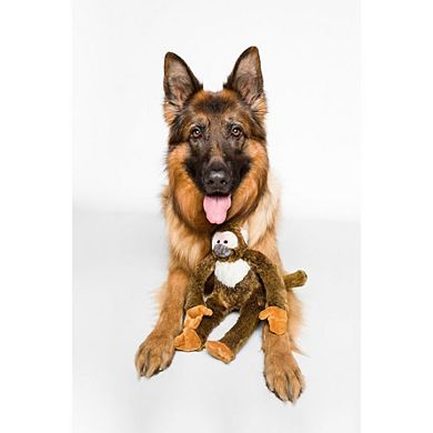 Fluff & Tuff Albert Monkey Plush Dog Toy