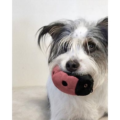 Fluff & Tuff Lady Bug Dog Toy