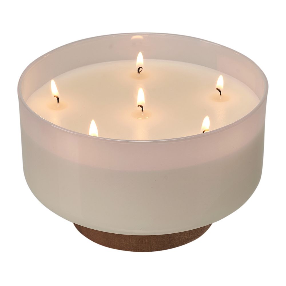 Sonoma Goods For Life® Blue Citron 40-oz. Frosted Glass Scented Candle