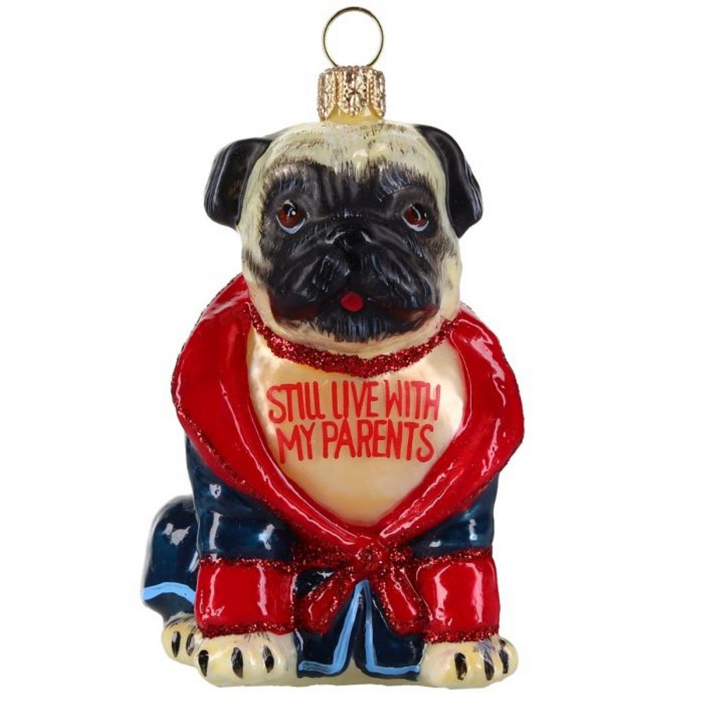Joy To The World Pug Fawn In Bath Robe Still Live With Parents Polish ...