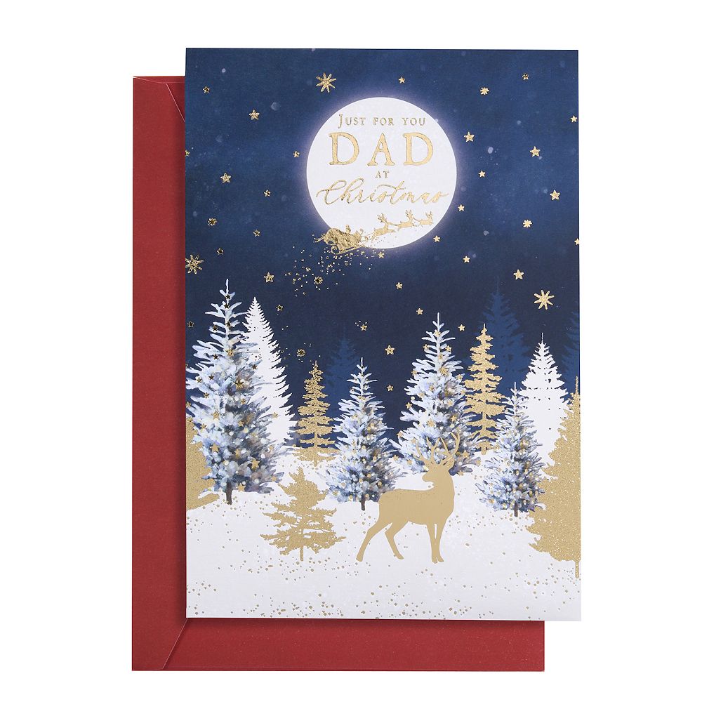 cardfactory Dad Christmas Card