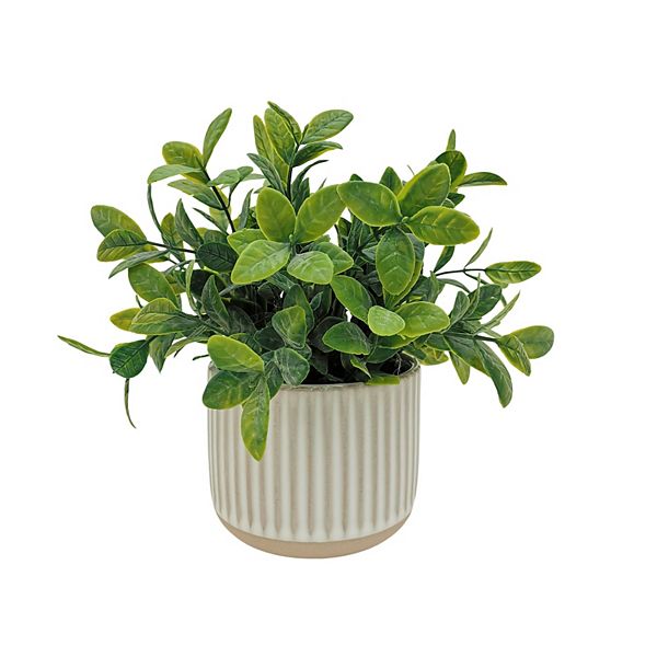 Artificial Greenery in White Ribbed Pot Table Décor
