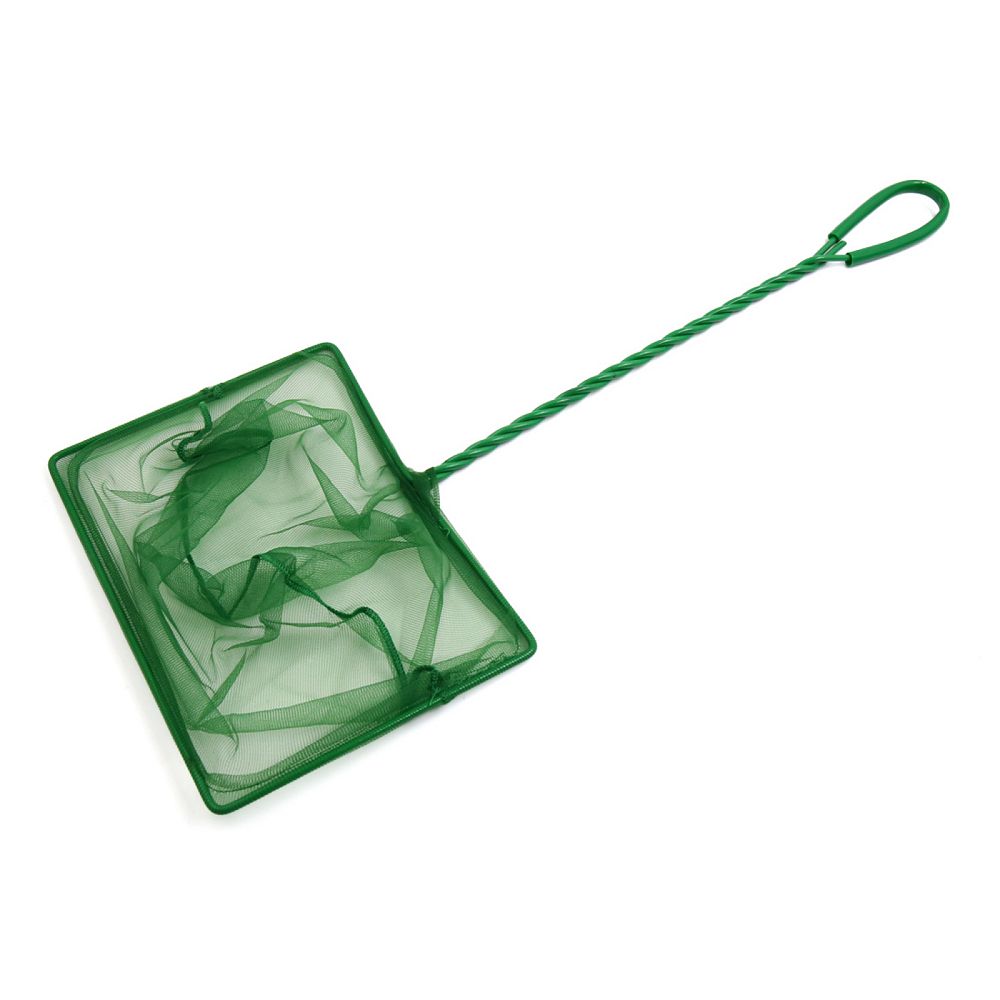8" Width Green Plastic Coated Handle Fish Shrimp Skimming Net For Betta ...