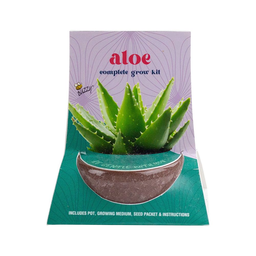 Buzzy Seeds Crackle Ceramic Aloe Grow Kit