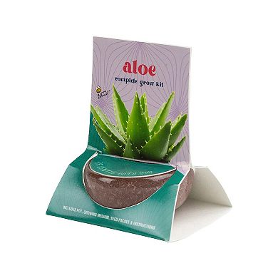 Buzzy Seeds Crackle Ceramic Aloe Grow Kit