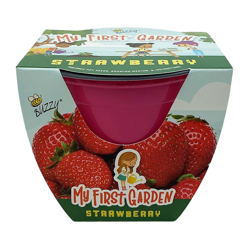 Buzzy Seeds Kids 4-in. Strawberry Plant