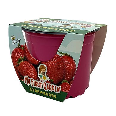 Buzzy Seeds Kids 4-in. Strawberry Plant