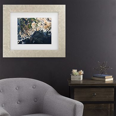 Trademark Fine Art John Fan Splendid Africa Matted Framed Wall Art