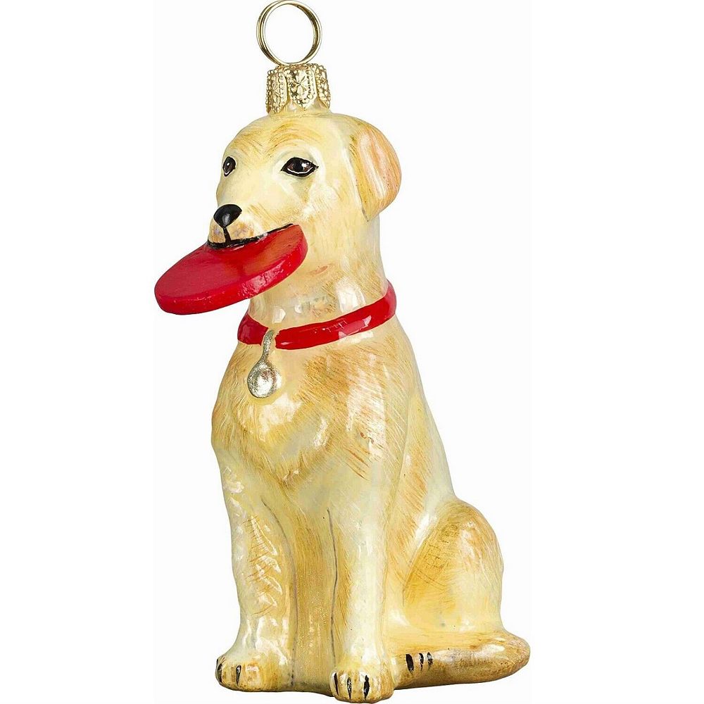 Joy To The World Yellow Labrador Retriever With Flying Disc Dog ...