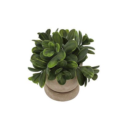 Everyday Decor Artificial Mini Jade Plant