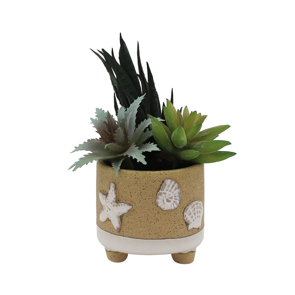 Everyday Décor Artificial Succulents in Multi-Shell Planter