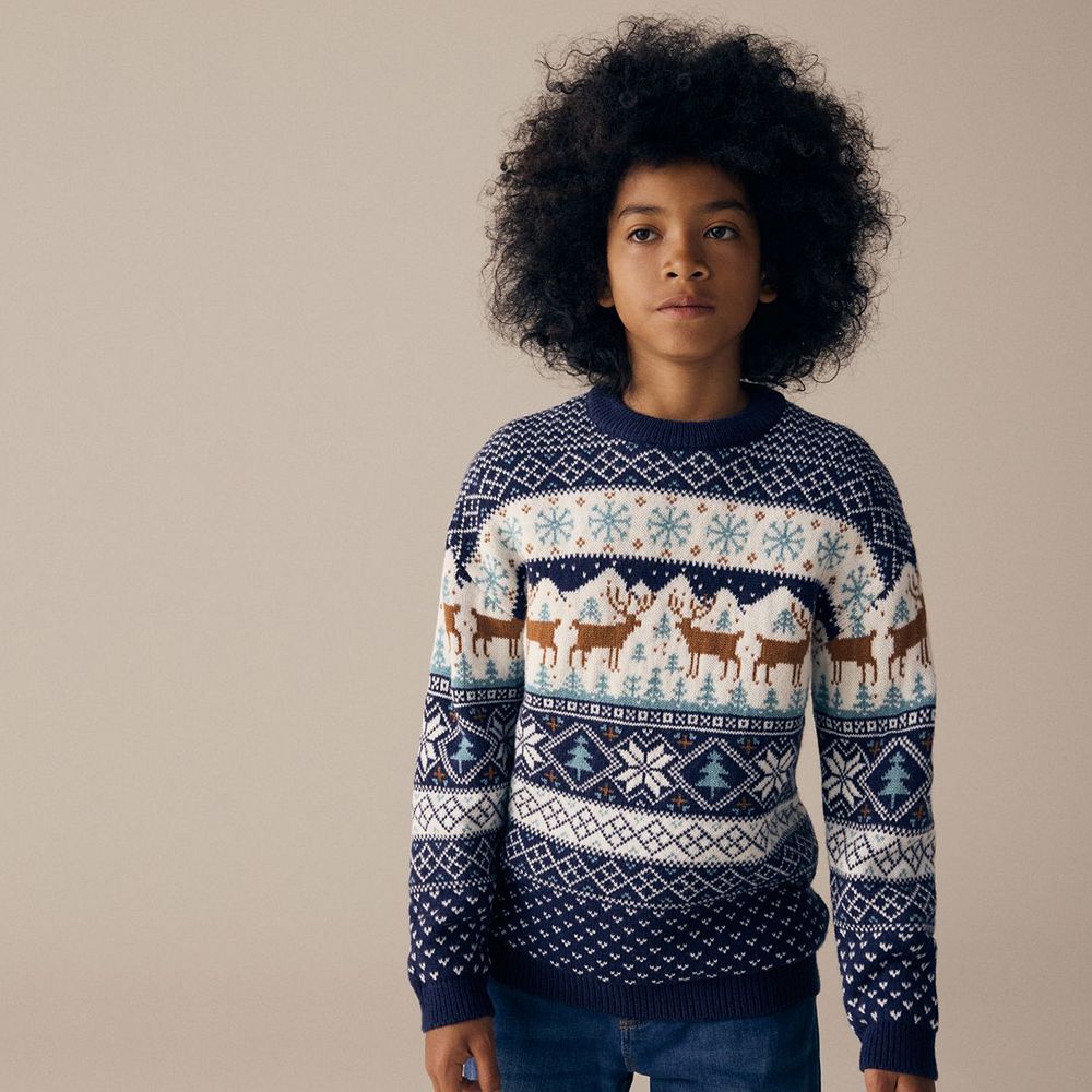 Boys 4-12 NEXT Family Fairisle Holiday Knit Sweater