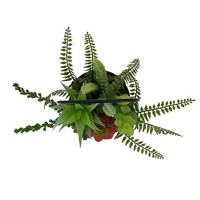 Everyday Decor Arrtificial Mixed Fern & Succulent Pot