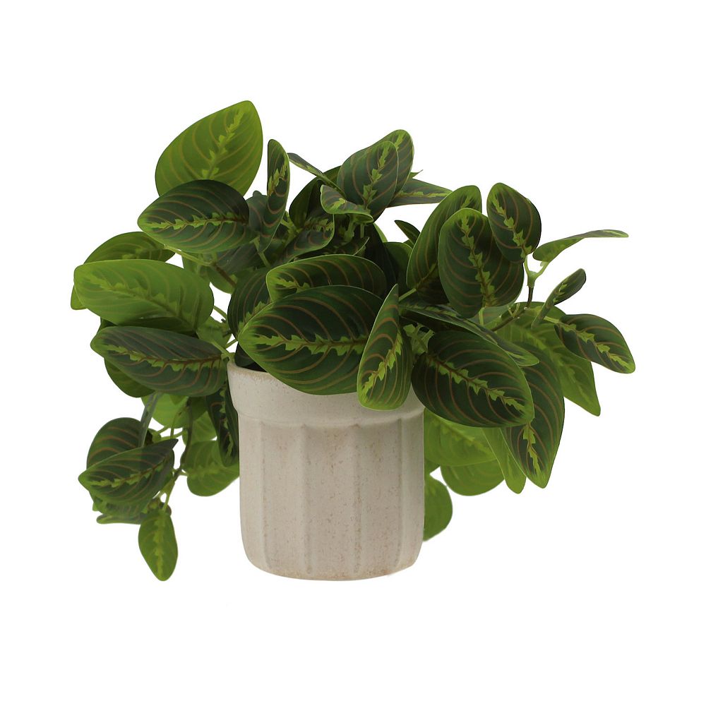 Everyday Decor Artificial Trailing Prayer Plant