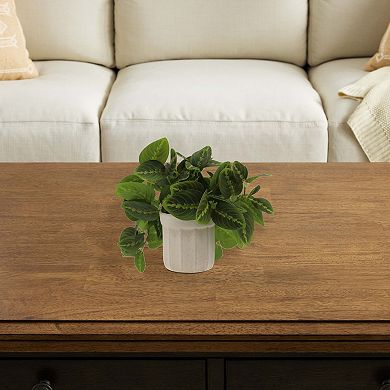 Everyday Decor Artificial Trailing Prayer Plant