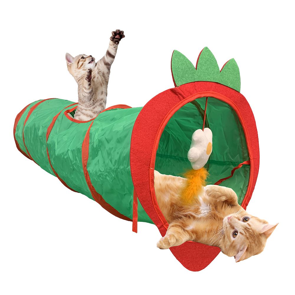Meow Cat Tunnel with Catnip Teaser Toy