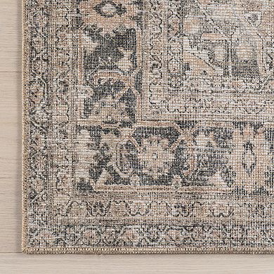 nuLOOM Hillstone Collection Traditional Vintage Medallion Area Rug