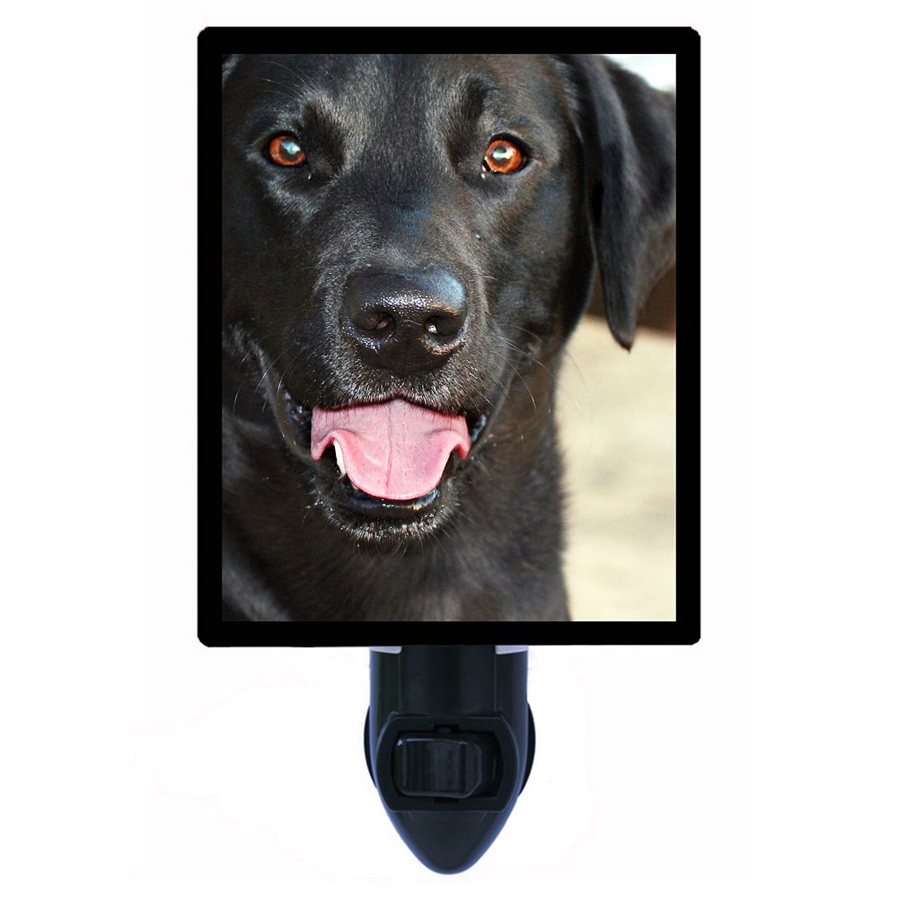 Black Lab. Labrador Retriever Dog Decorative Photo Night Light.