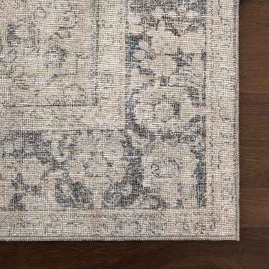 nuLOOM Hillstone Collection Traditional Vintage Medallion Area Rug
