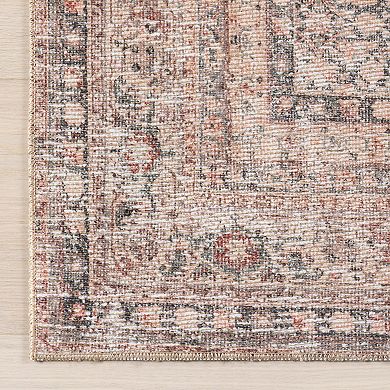 nuLOOM Hillstone Collection Traditional Vintage Medallion Area Rug
