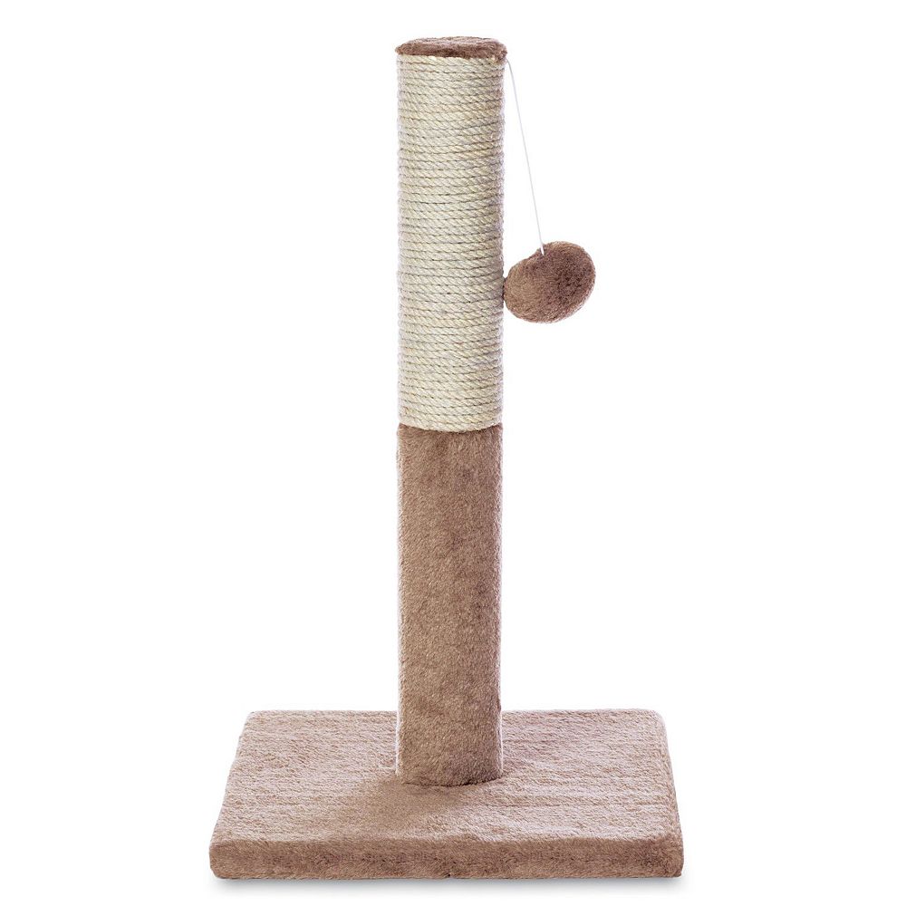 Collections Etc Play and Scratch Interactive Toy Scratching Post