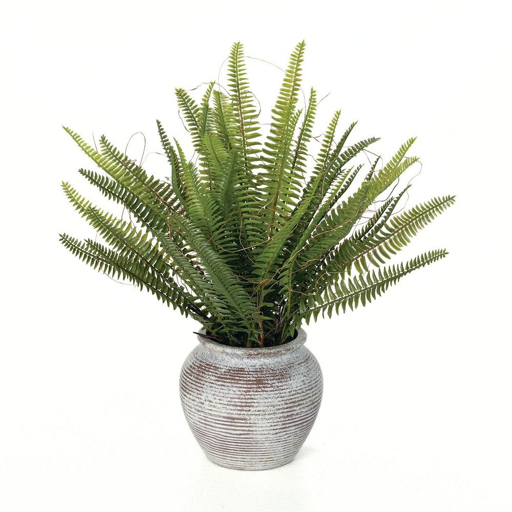 Haven Living Artificial 16" Rustic Potted Fern Bush, Green