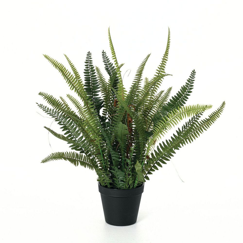 Haven Living Artificial 21" Lush Potted Fern, Green