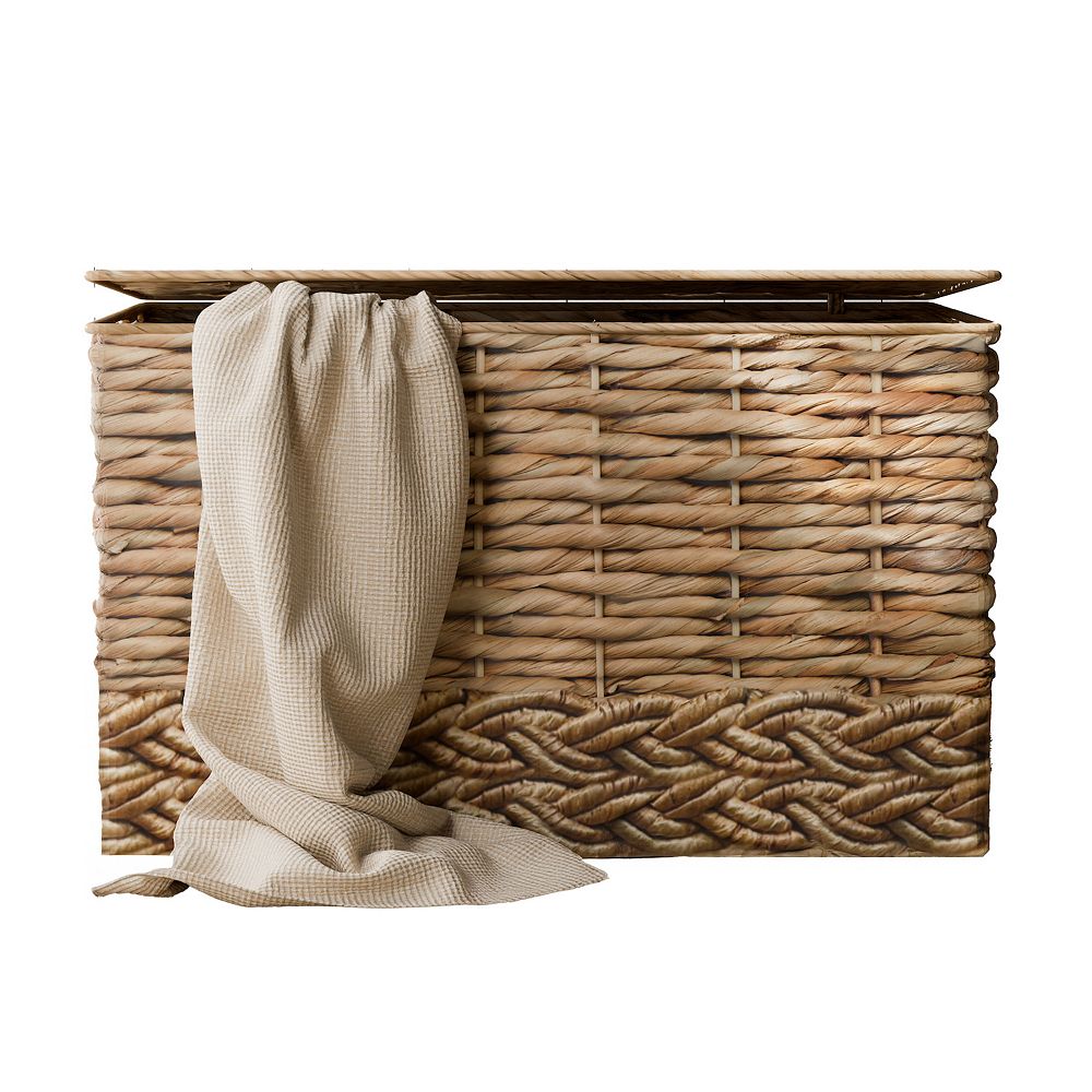 RGI Home Woven Decorative Storage Trunk with Lid