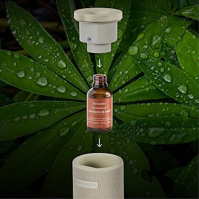 HoMedics Gilded Amber & Tonka SereneScent Fragrance Oil