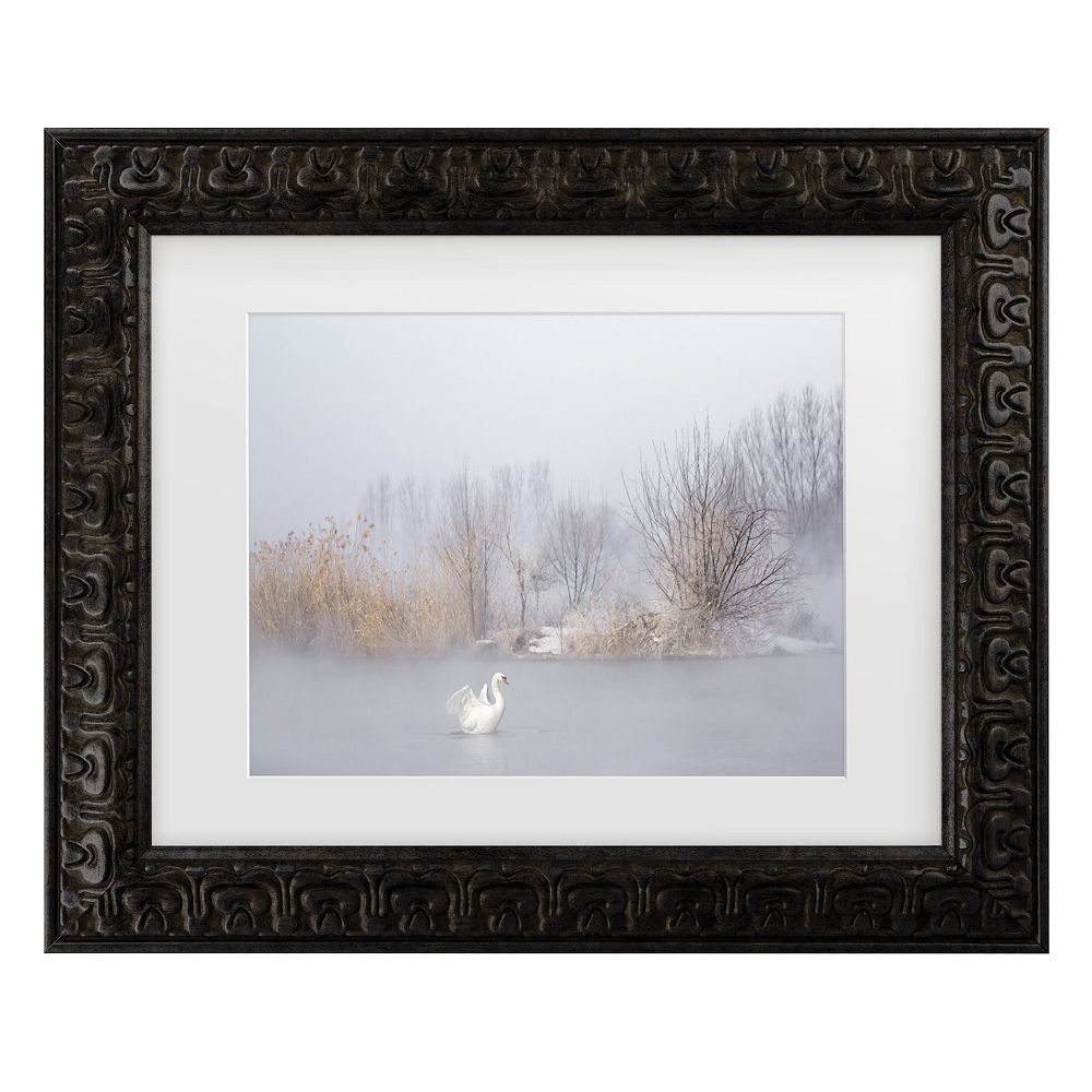 Trademark Fine Art The Winter Swan Black Matted Framed Wall Art