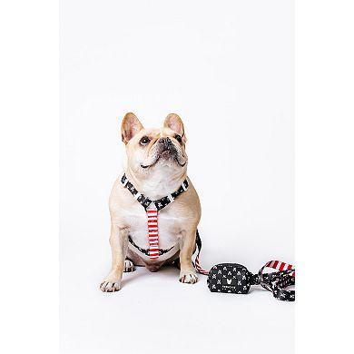 Strap Harness, Bad to the Bone