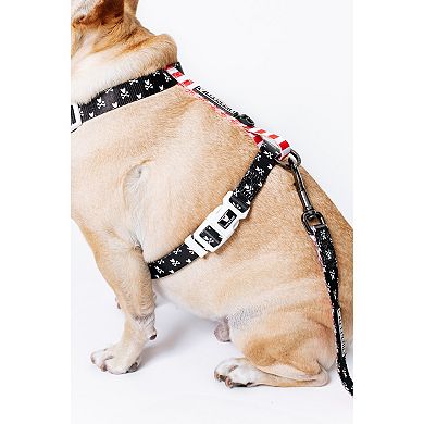 Strap Harness, Bad to the Bone