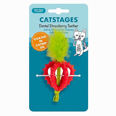 Catstages Dental Strawberry Teether