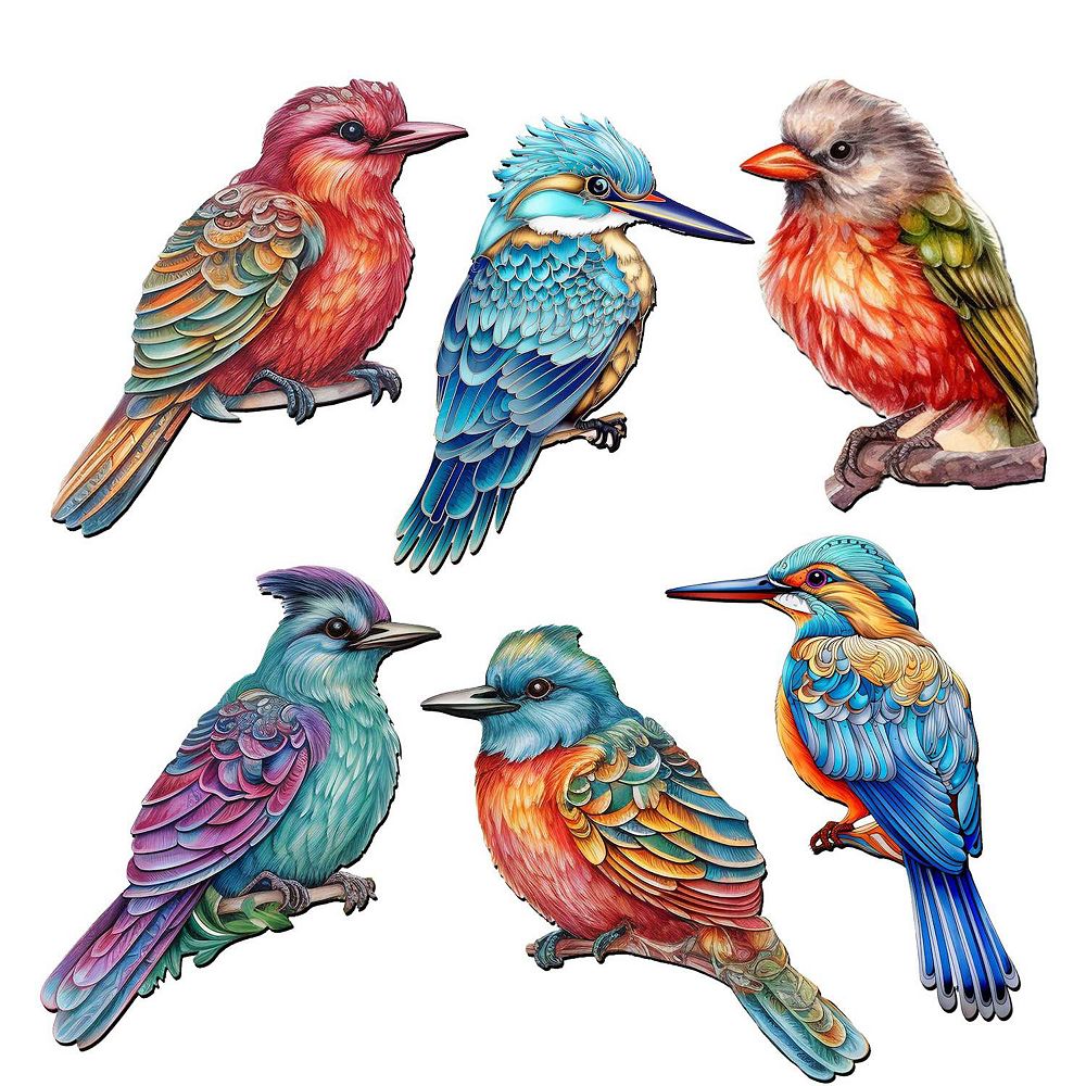 Colorful Birds Decorative Wooden Magnets Set of 6 by G. Debrekht